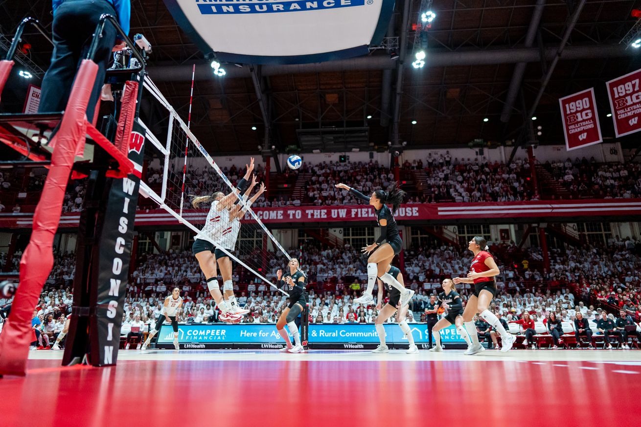 Wisconsin volleyball: Badgers announce three new signings; other off ...